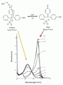 Acid and Base forms of phenol red along with their UV spectra at ...