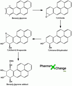 Phase I Metabolism- Oxidation of Aromatic compounds | Medicinal ...
