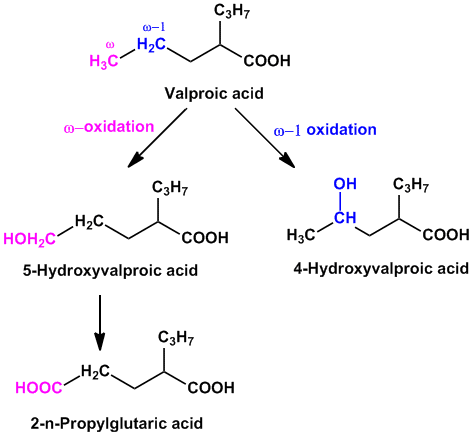 Phase I Metabolism-Oxidative Reactions-Oxidation of Aliphatic and ...